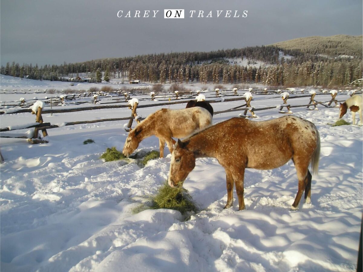From Slopes to Sleigh Rides: Crafting the Perfect Winter Park Ski Vacation