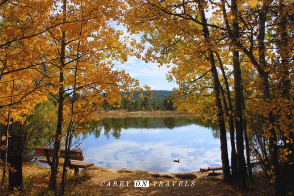 Fall in Boulder Colorado: Local’s Guide to Autumn Color - Carey On Travels