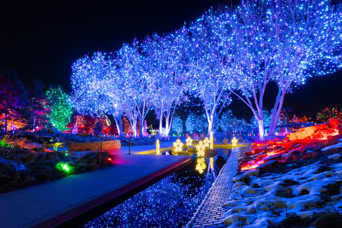 Top Denver Holiday Activities to Experience This Season - Carey On Travels