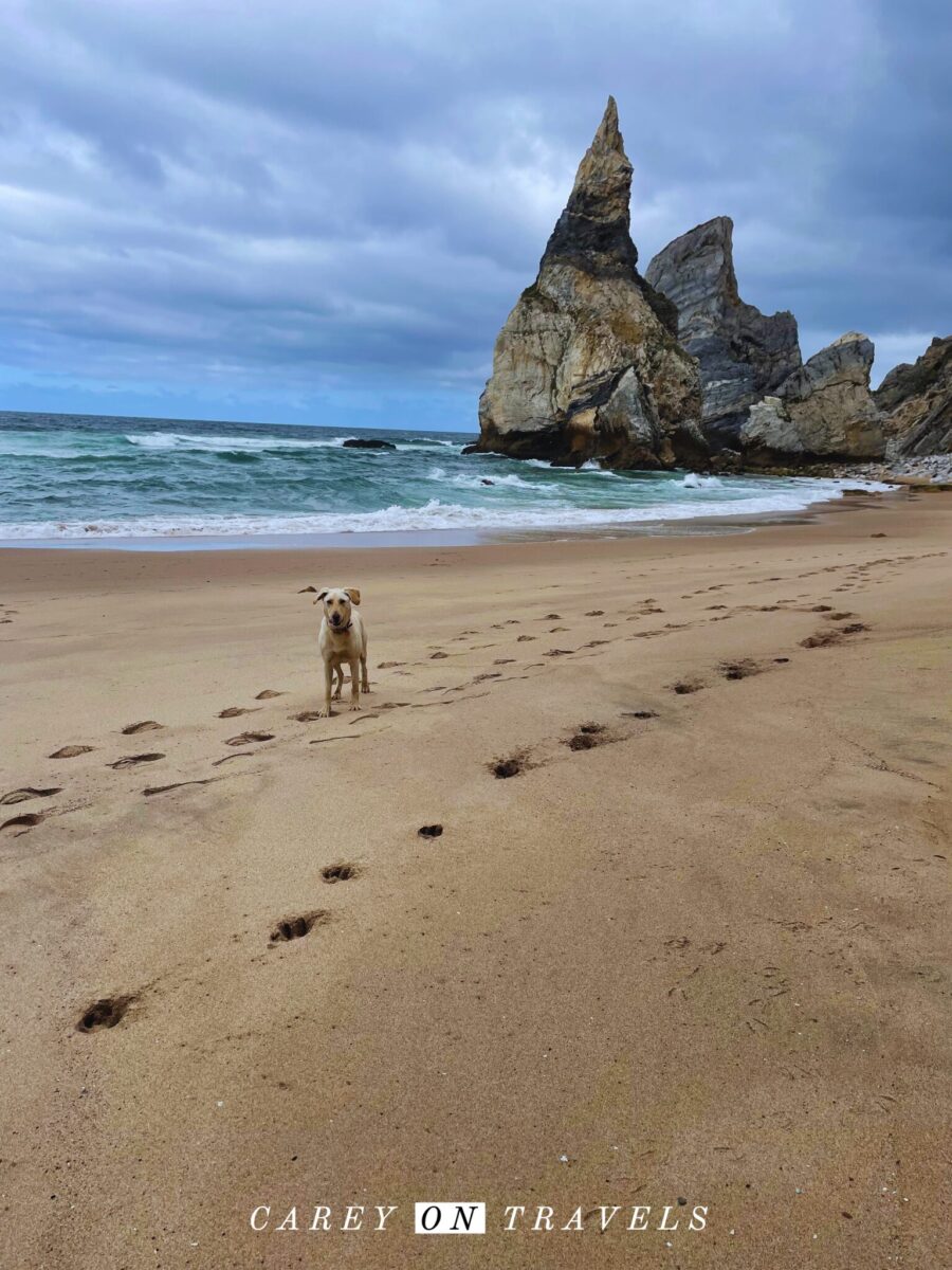 How to Get to Praia da Ursa: 2 Ways to Reach the Beach - Carey On Travels