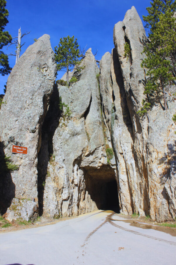 Top 10 Things to Do in Custer State Park and the Black Hills - Carey On ...