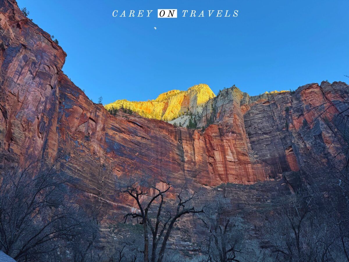Zion National Park Winter Itinerary: One Perfect Dog-Friendly Day ...