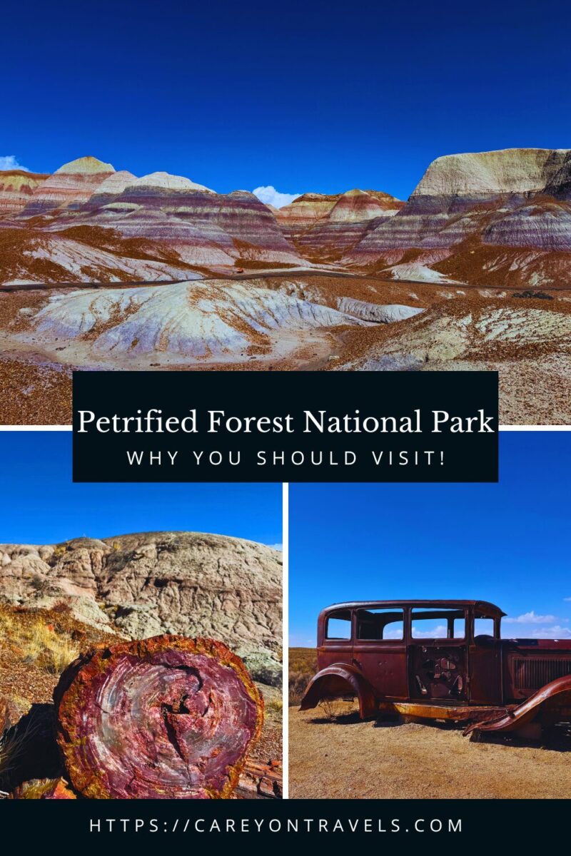 Is Petrified Forest National Park Worth It? - Carey On Travels