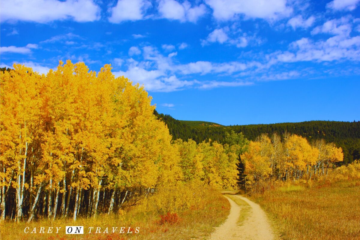 Fall in Boulder Colorado: Local’s Guide to Autumn Color - Carey On Travels
