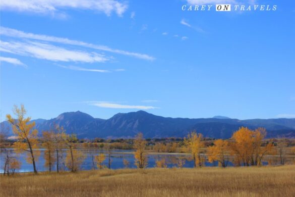 Fall in Boulder Colorado: Local’s Guide to Autumn Color - Carey On Travels