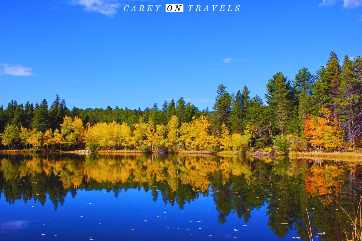 Fall in Boulder Colorado: Local’s Guide to Autumn Color - Carey On Travels